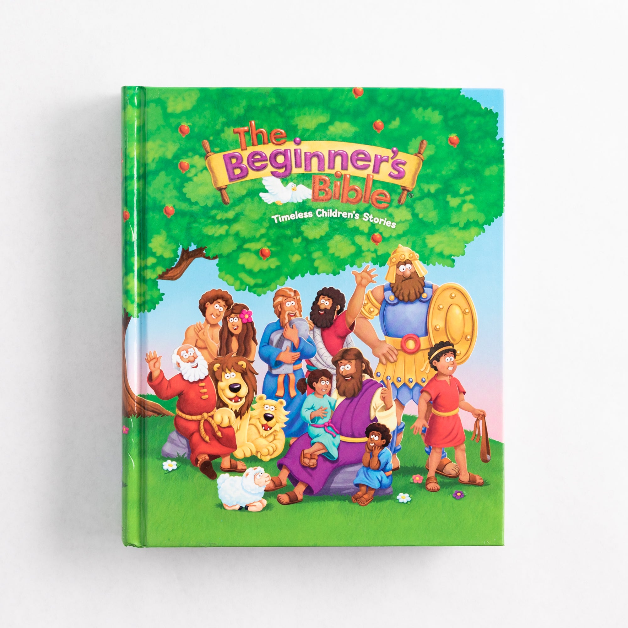 The Beginner's Bible – 416 Stories for Kids | Hardcover – Taking Ground