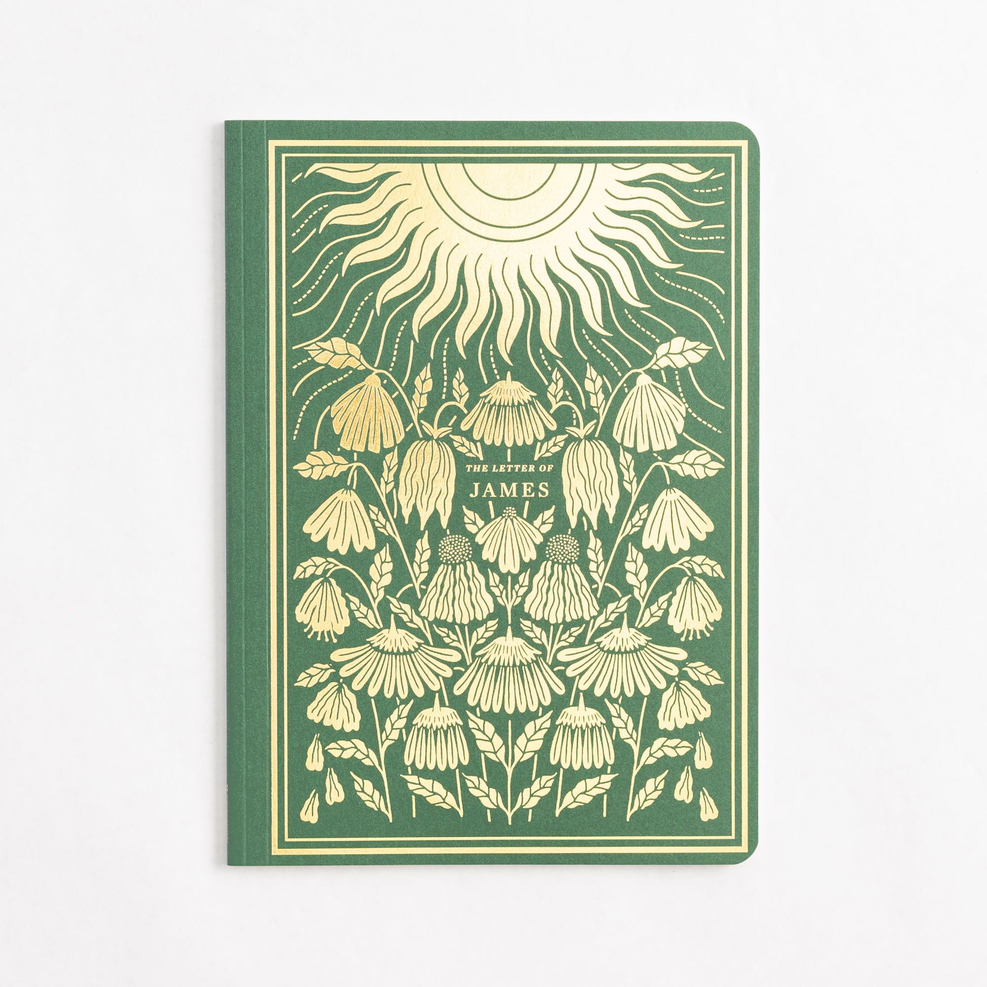 ESV Illuminated Scripture Journal: James – Taking Ground